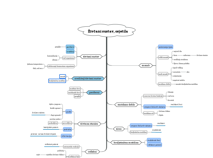 Živčani sustav, osjetila - Mind Map
