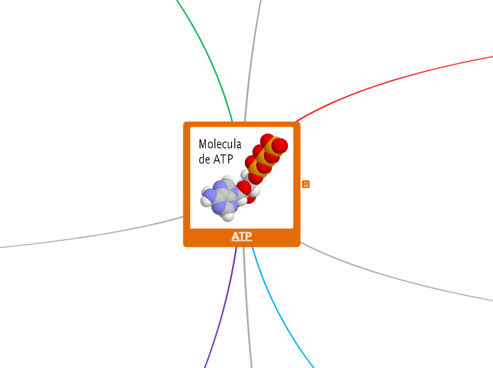 ATP - Mind Map