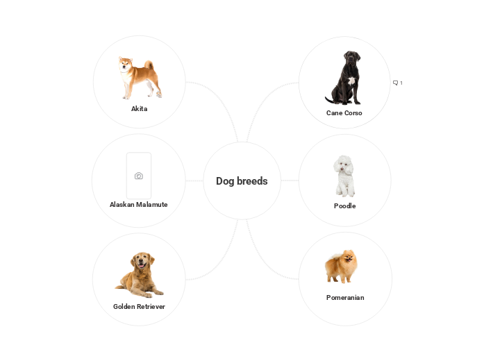 Dog breeds - Mind Map