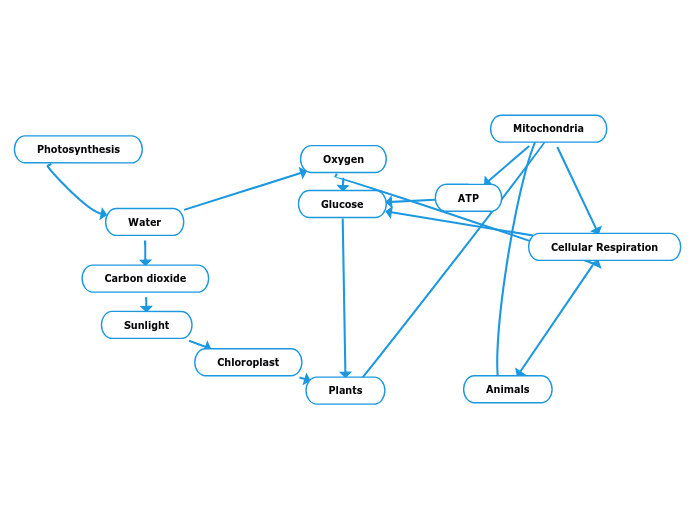Digital Concept Map 2 - Mind Map