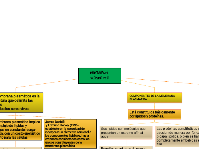 MEMBRANA PLASMATICA - Mind Map