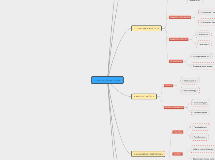 CLASIFICACIÓN BACTERIANA - Mind Map