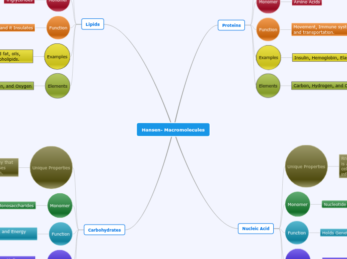 Hansen- Macromolecules - Mind Map