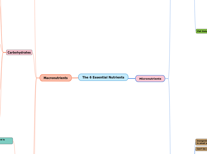 The 6 Essential Nutrients - Mind Map