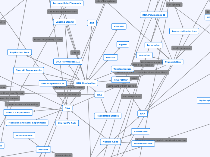 The Molecules of Life -Alexis and Sophia C...- Mind Map
