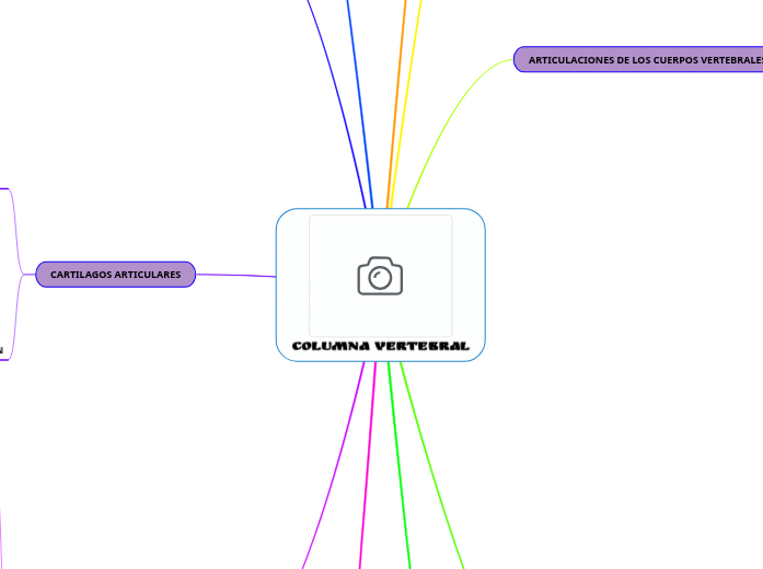 COLUMNA VERTEBRAL - Mind Map