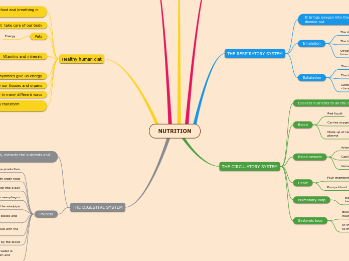 NUTRITION - Mind Map