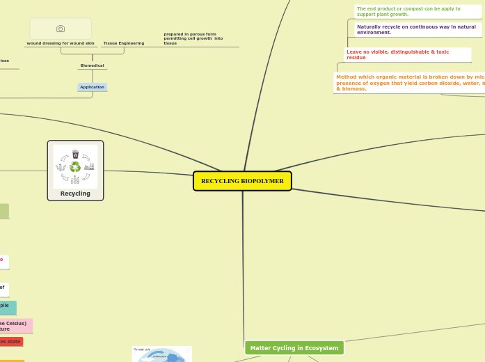 RECYCLING BIOPOLYMER - Mind Map
