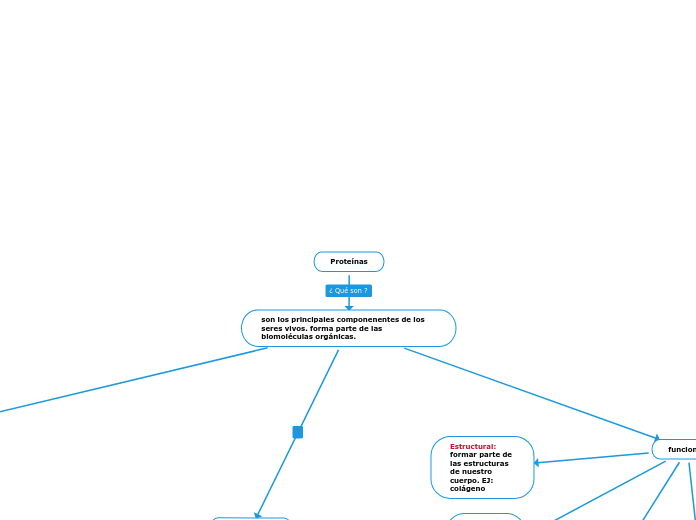 Proteínas - Mind Map