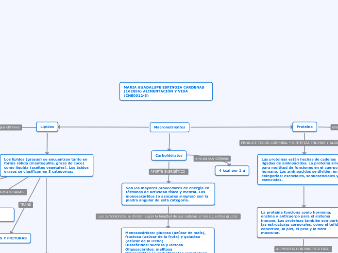 Macronutrientes - Mind Map