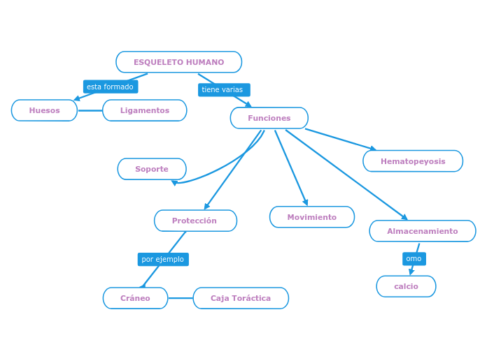 ESQUELETO HUMANO - Mind Map