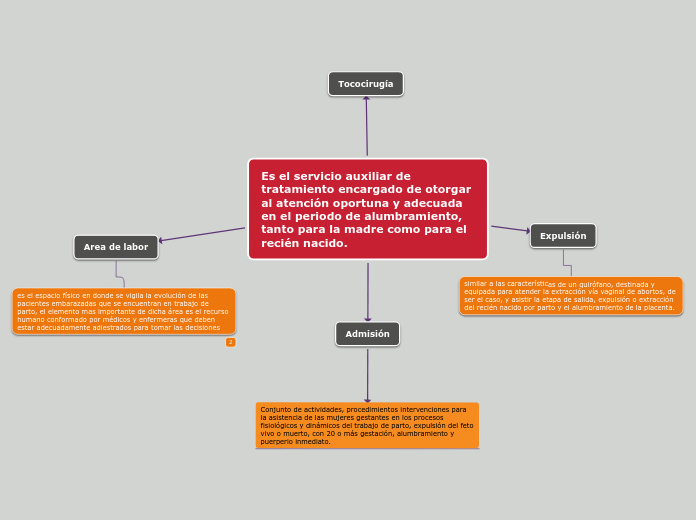 Es el servicio auxiliar de tratamiento enc...- Mind Map