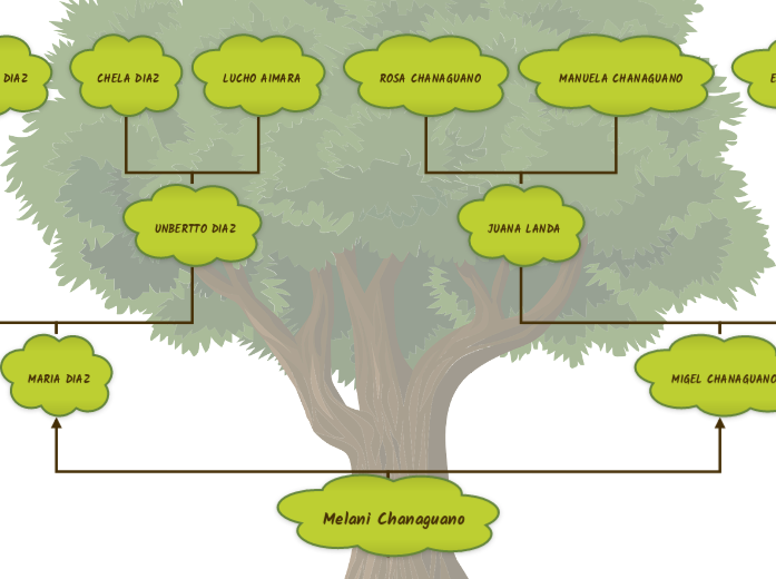 Melani Chanaguano - Mind Map