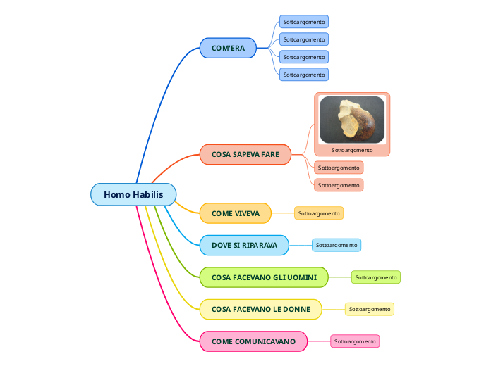 Homo Habilis - Mind Map