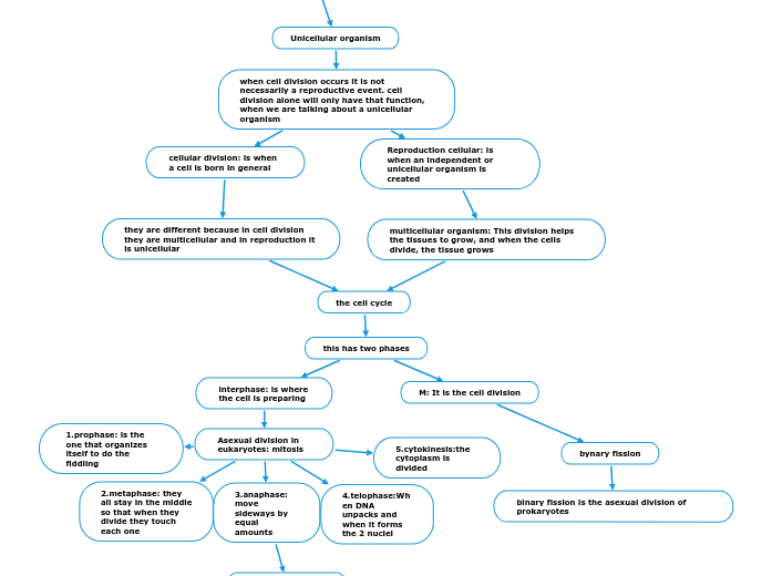 cell division - Mind Map
