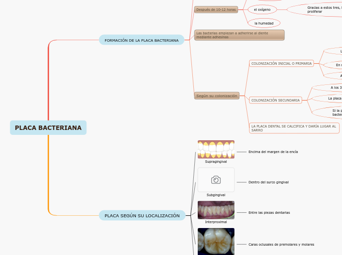 PLACA BACTERIANA - Mind Map