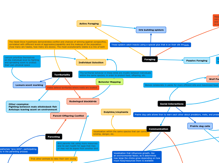 Behavior Mapping - Mind Map