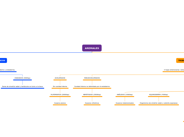 ANIMALES - Mind Map