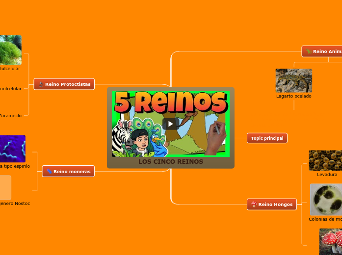 LOS CINCO REINOS - Mind Map