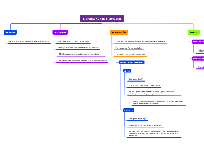 Sistema Renal: Fisiologia: - Mind Map