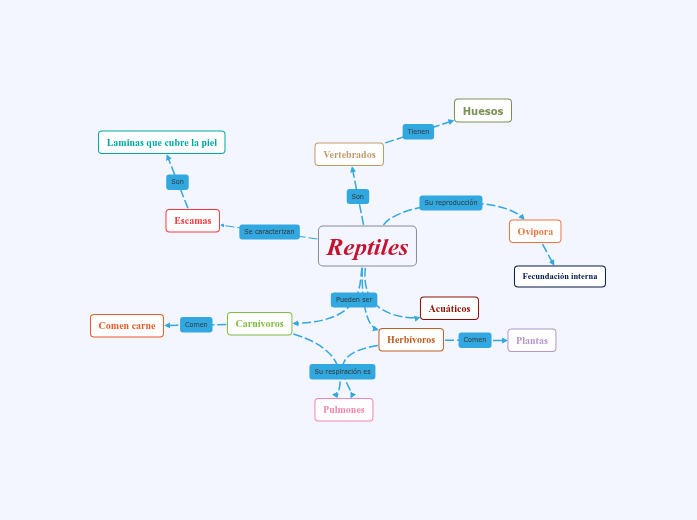 Reptiles - Concept Map