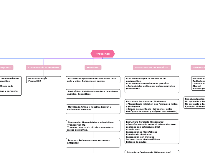 Proteínas - Mind Map