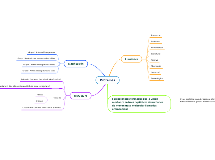 Proteínas - Mind Map