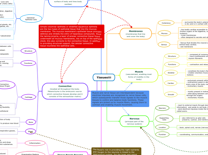 Tissues!!! - Mind Map