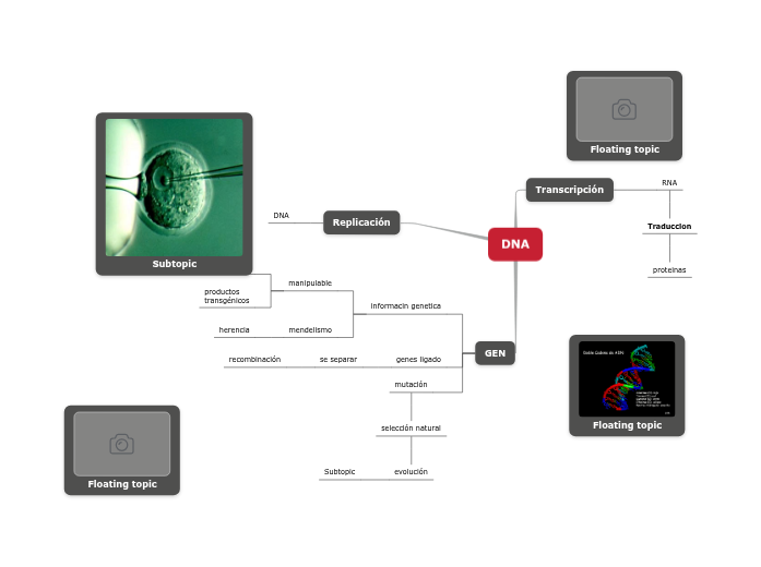 DNA - Mind Map
