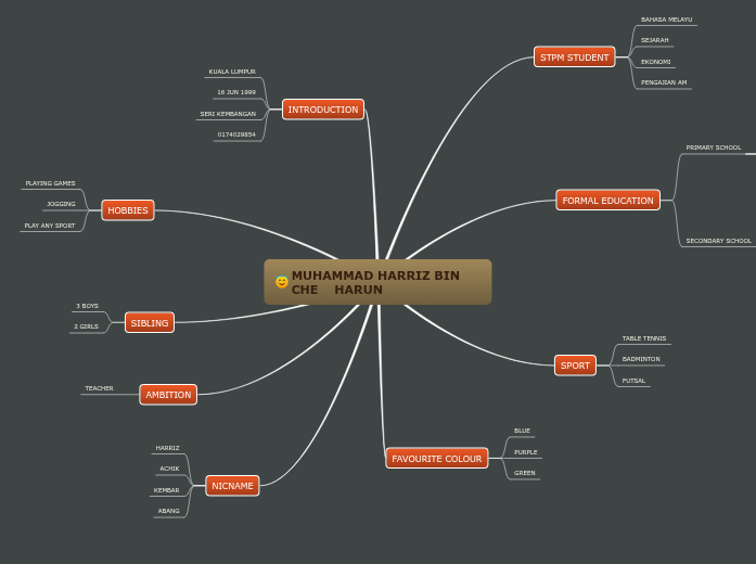 MUHAMMAD HARRIZ BIN CHE HARUN - Mind Map