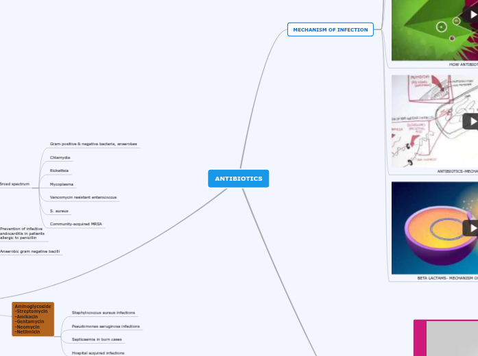 ANTIBIOTICS - Mind Map