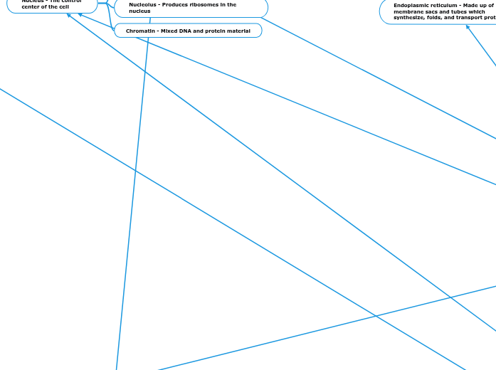 eukaryotic cells - Mind Map