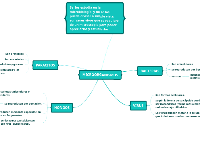 MICROORGANISMOS - Mind Map