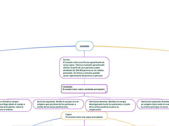 corazón 3} - Mind Map