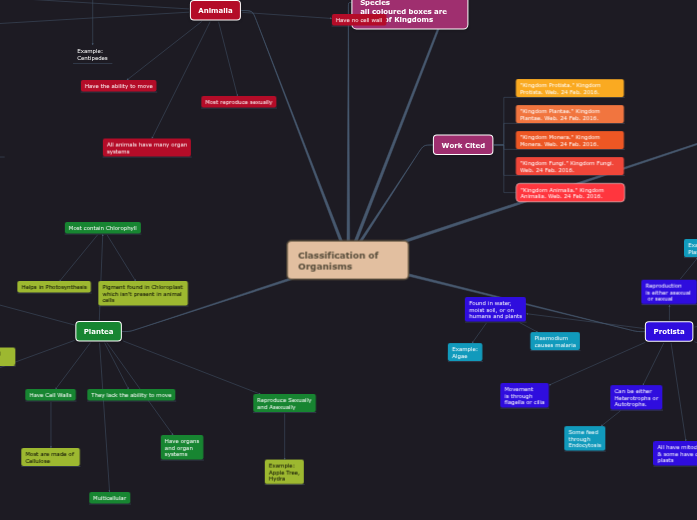 Classification of Organisms - Mind Map