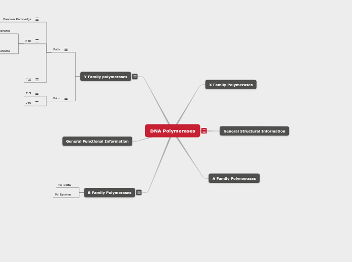 DNA Polymerases - Mind Map