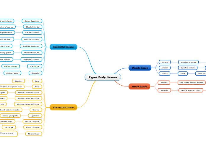 Types Body tissues - Mind Map