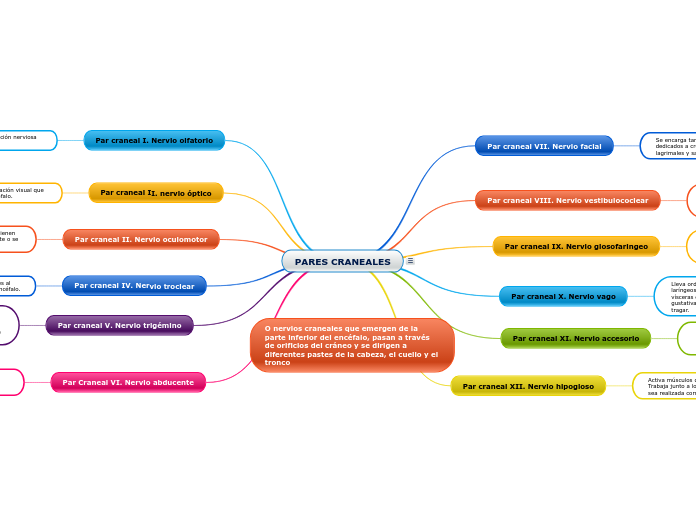 MAPA_CONCEPTUAL_PARES_CRANEALES_LUIS_FERNA...- Mind Map