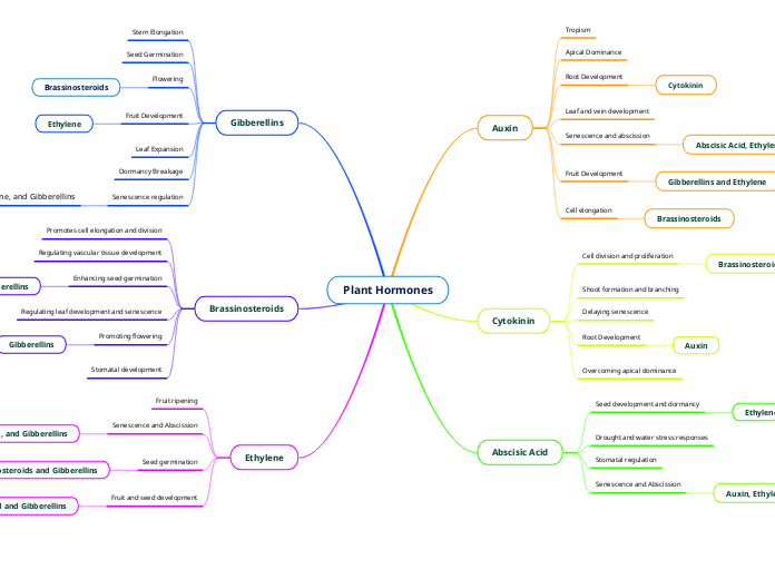 Plant Hormones - Mappa Mentale