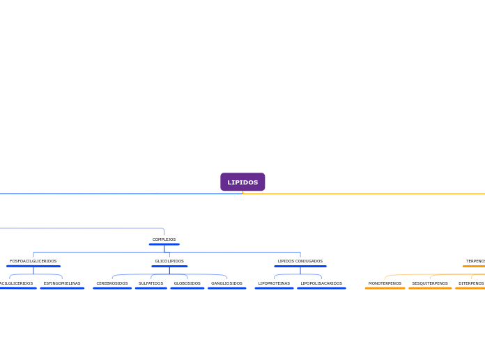 LIPIDOS - Mind Map