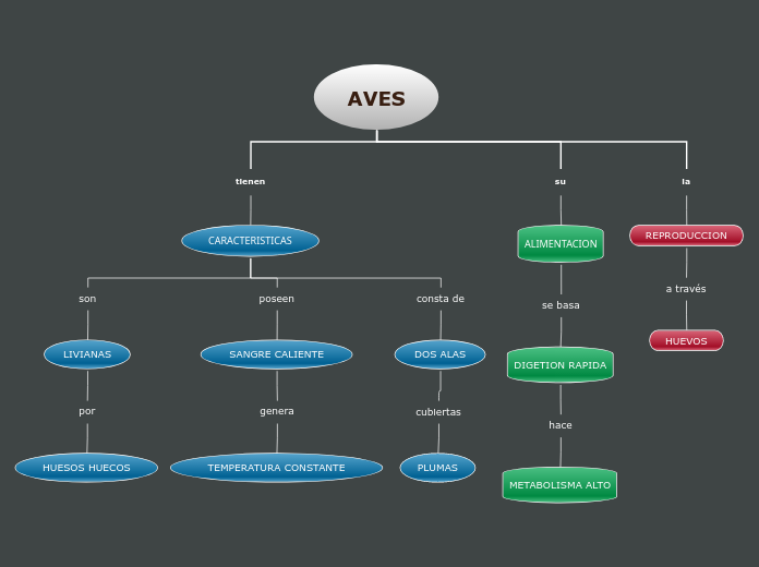 AVES - Mind Map