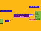 MAPA SEMANTICO 1 - Mind Map