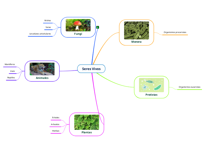 Seres Vivos - Mind Map