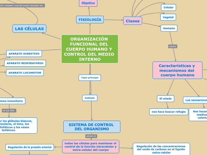 ORGANIZACIÓN FUNCIONAL DEL CUERPO HUMANO Y...- Mind Map