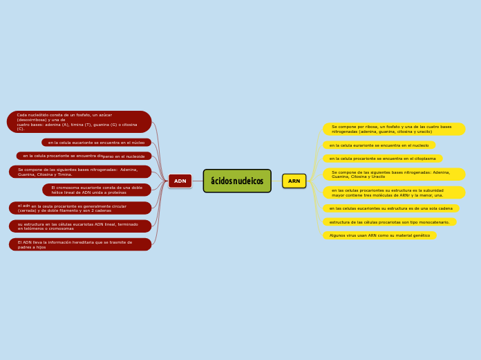 ácidos nucleicos - Mind Map