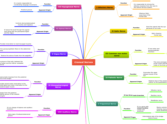 Craneal Nerves - Mind Map