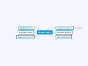 Human Body - Mind Map