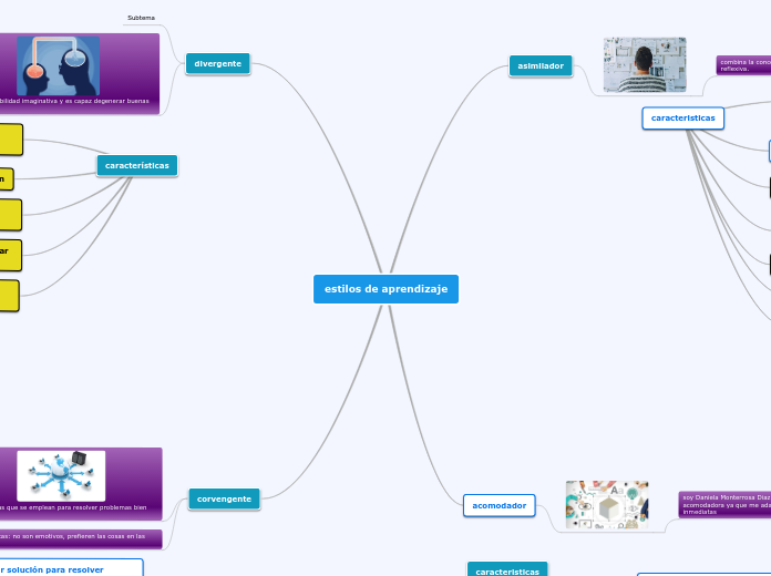 estilos de aprendizaaje - Mind Map