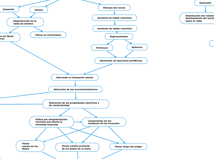 Síndrome del túnel del carpo - Mind Map