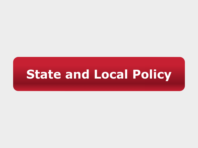 State and Local Policy - Mind Map